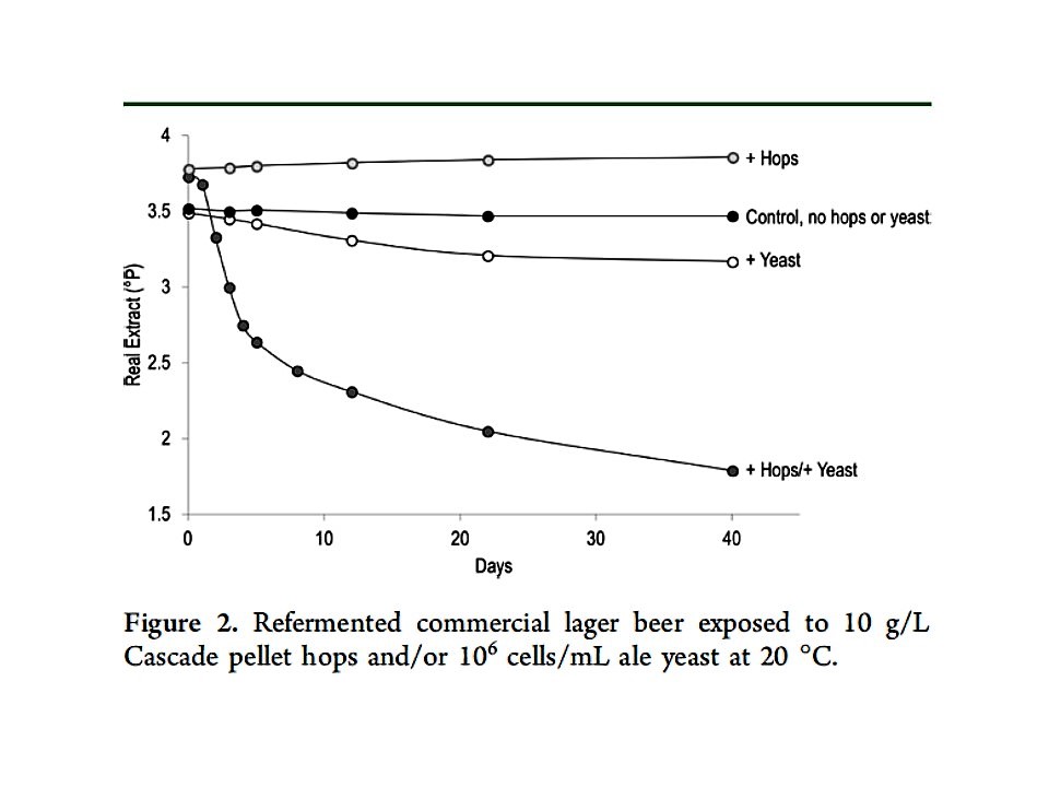 The Surprising Science of Dry Hopping – Lessons from Tom Shellhammer ...