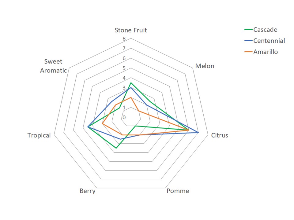 Hop Combinations that Emulate Fruit Flavors – Pat's Pints