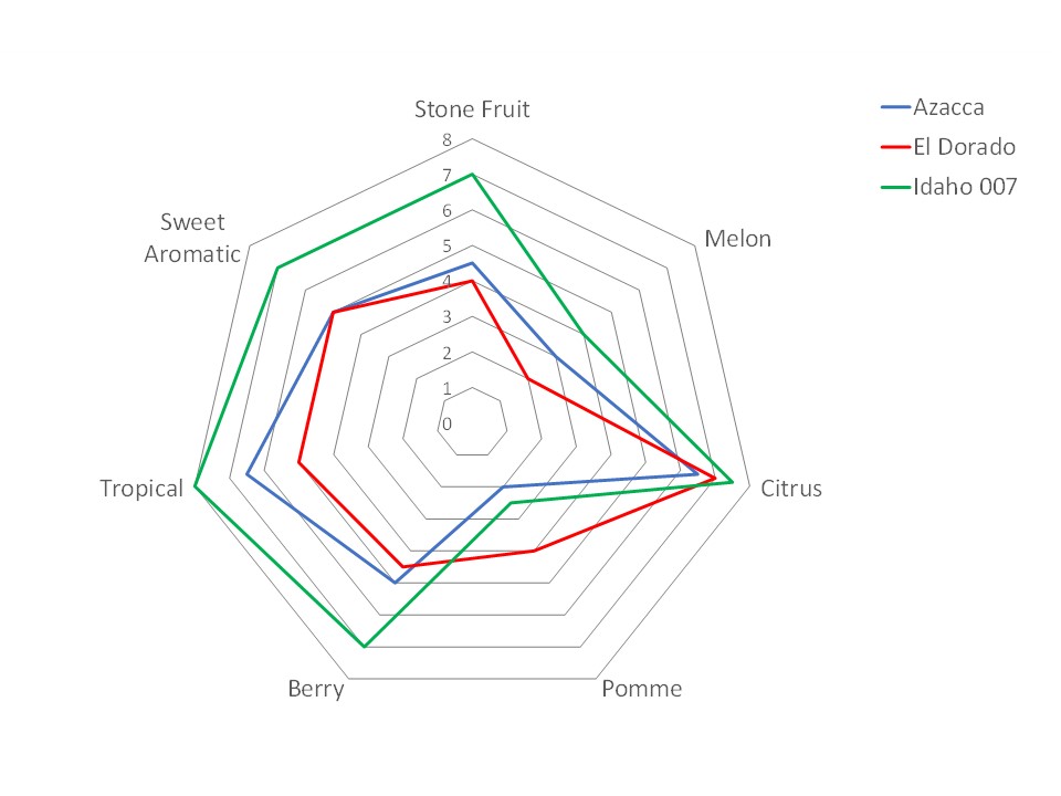 Hop Combinations that Emulate Fruit Flavors – Pat's Pints